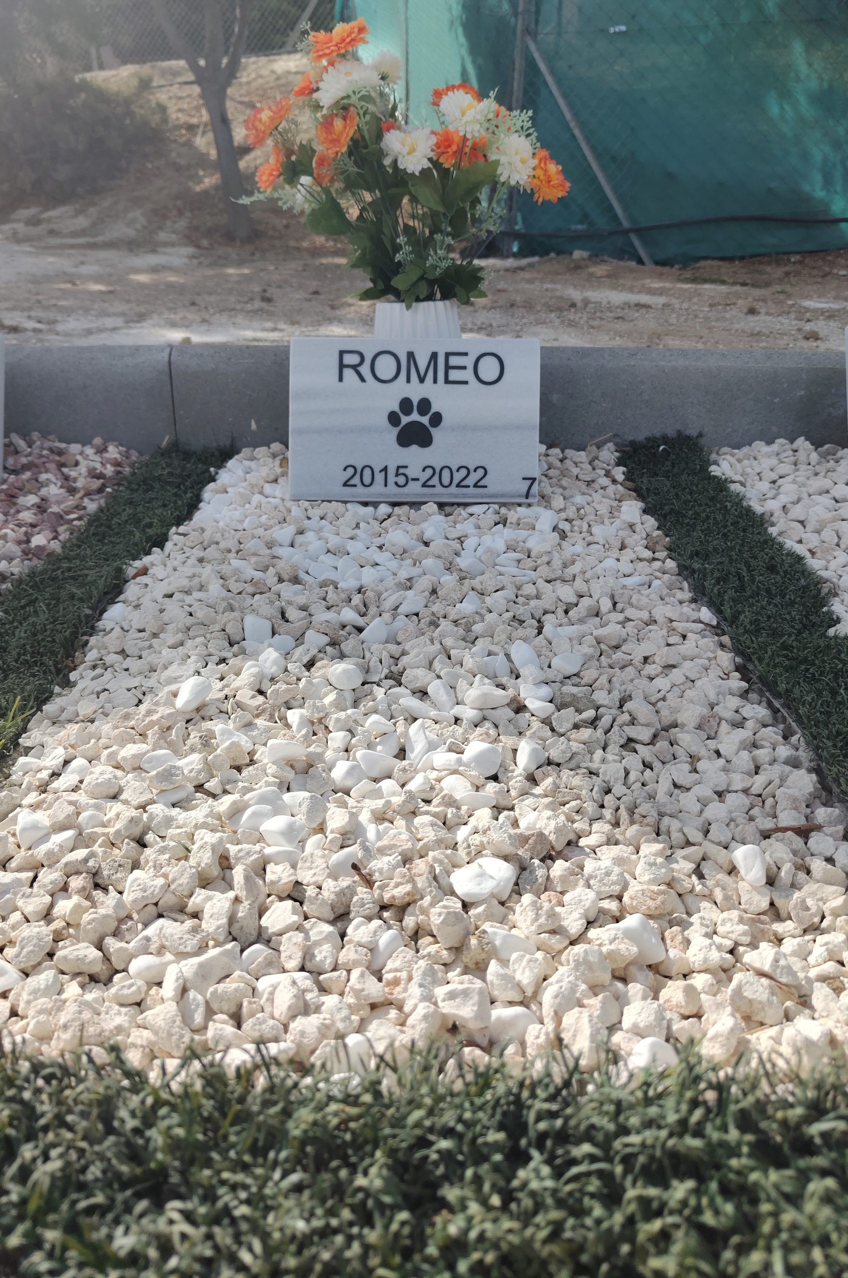 Our Cemetery - Angels Pet Cemetery